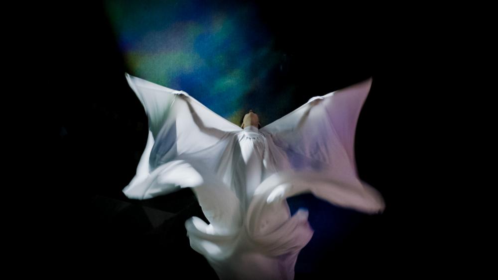 Film Review: The Extraordinary Miss Flower, Plus Q&A With Directors ...